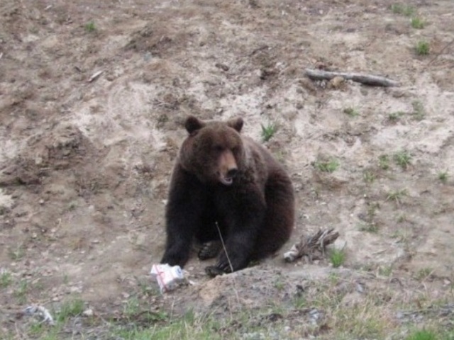 DAME PASANDO RUSIA: octubre 2010