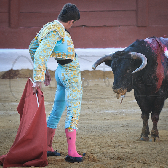 Fotos taurinas: David Galván toreando en San Fernando