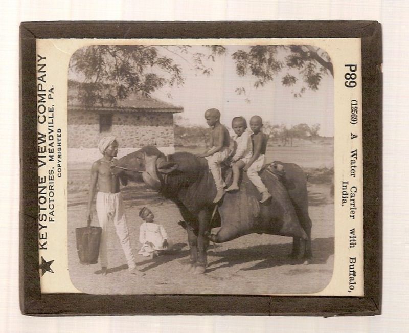 Children Riding on a Buffalo and a Water Carrier Looking at them ...