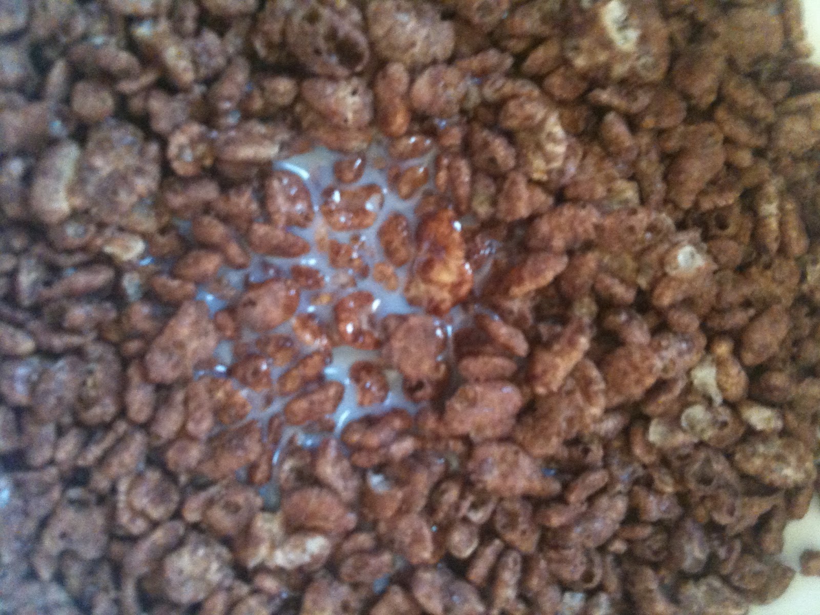 Free From G.: Tesco Gluten Free Choco Snaps