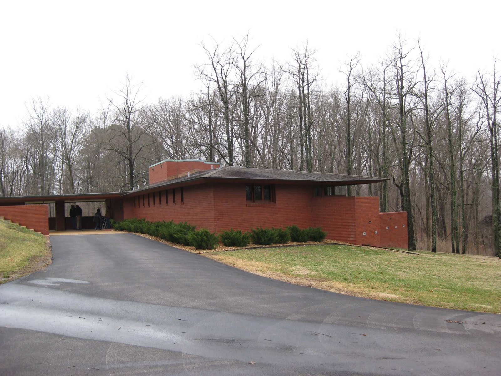 Salukitecture: The Kraus House