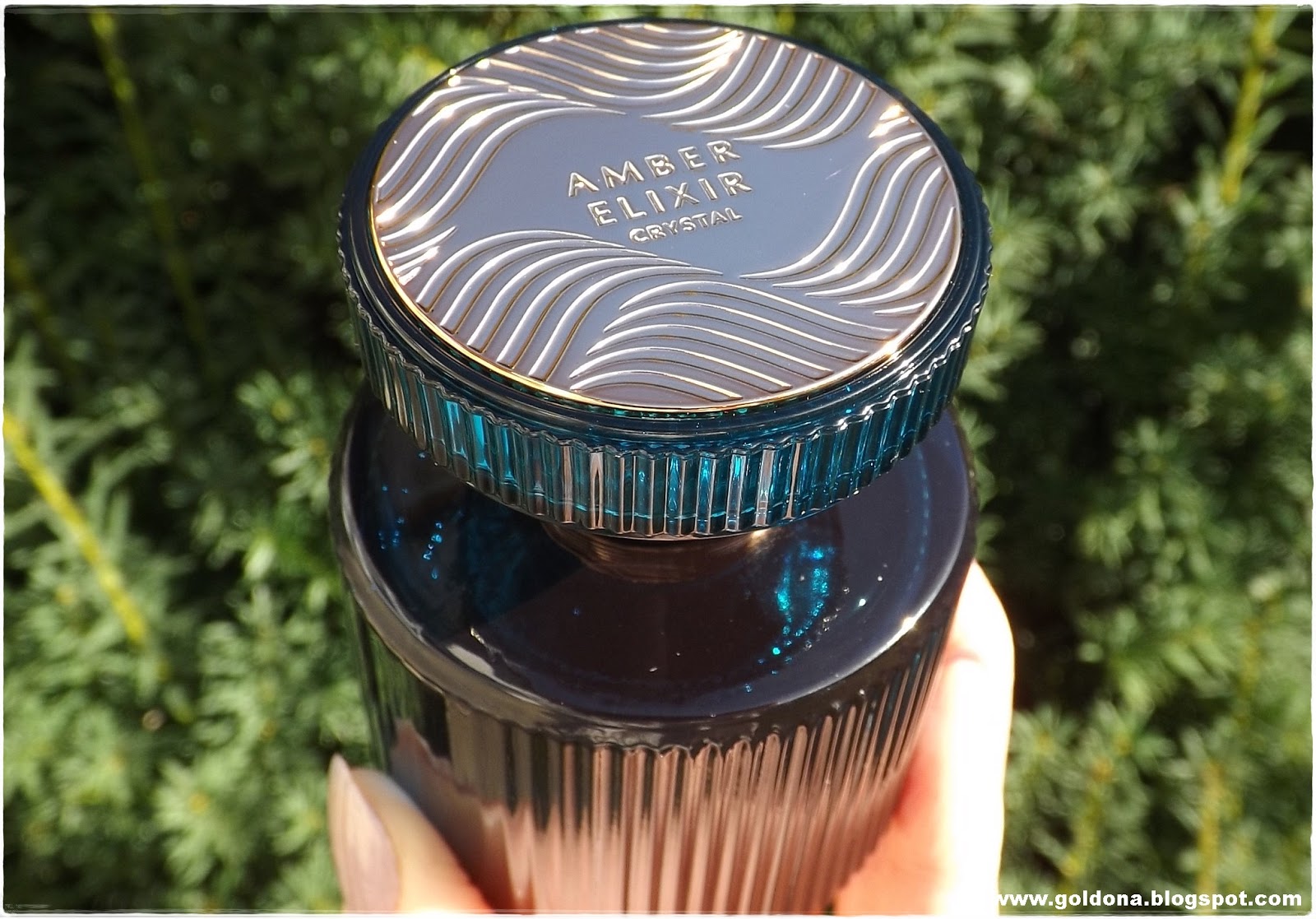 pasje.. zainteresowania.. czas wolny..: Jak pachnie Amber Elixir ...