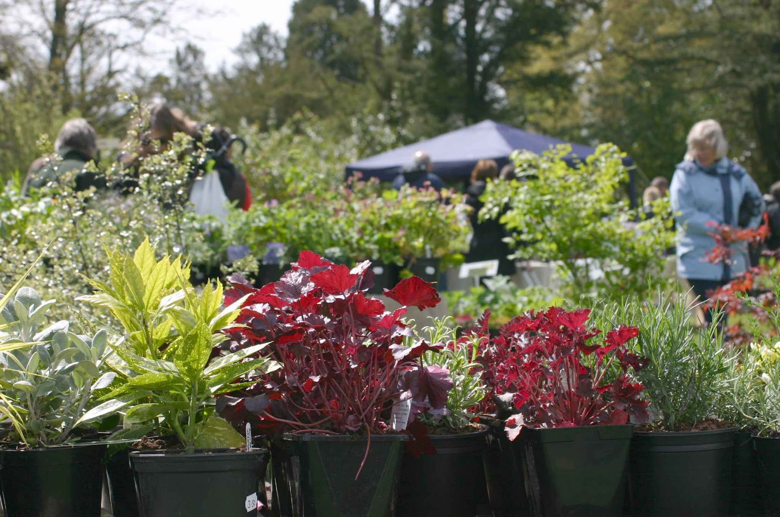 Jennifer Tetlow - Stone Sculpture Journal: Newby Hall, Plants and Lucky ...