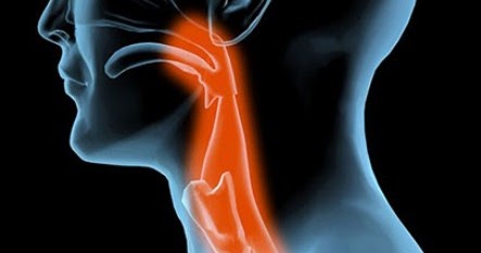 Boererate.com: Kanker van die larinks