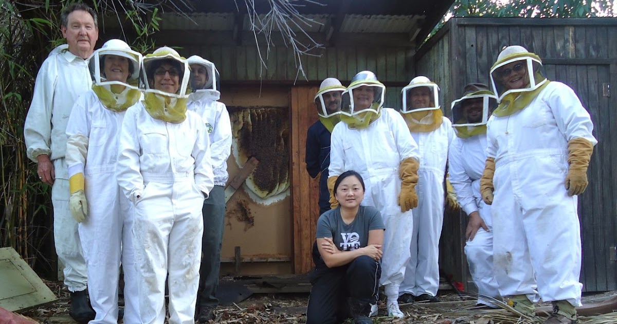 Backwards Beekeepers: There's no stopping this team