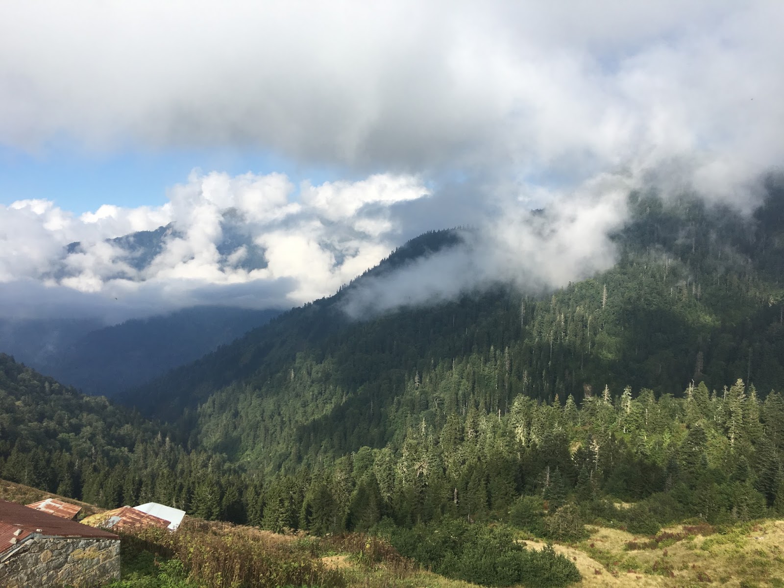 Karadeniz Outdoor: POKUT YAYLASI / RİZE