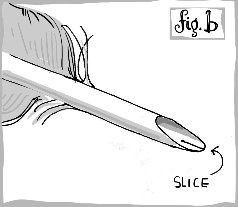 Scratch and Peck: Beautiful Lines: How to Make a Quill