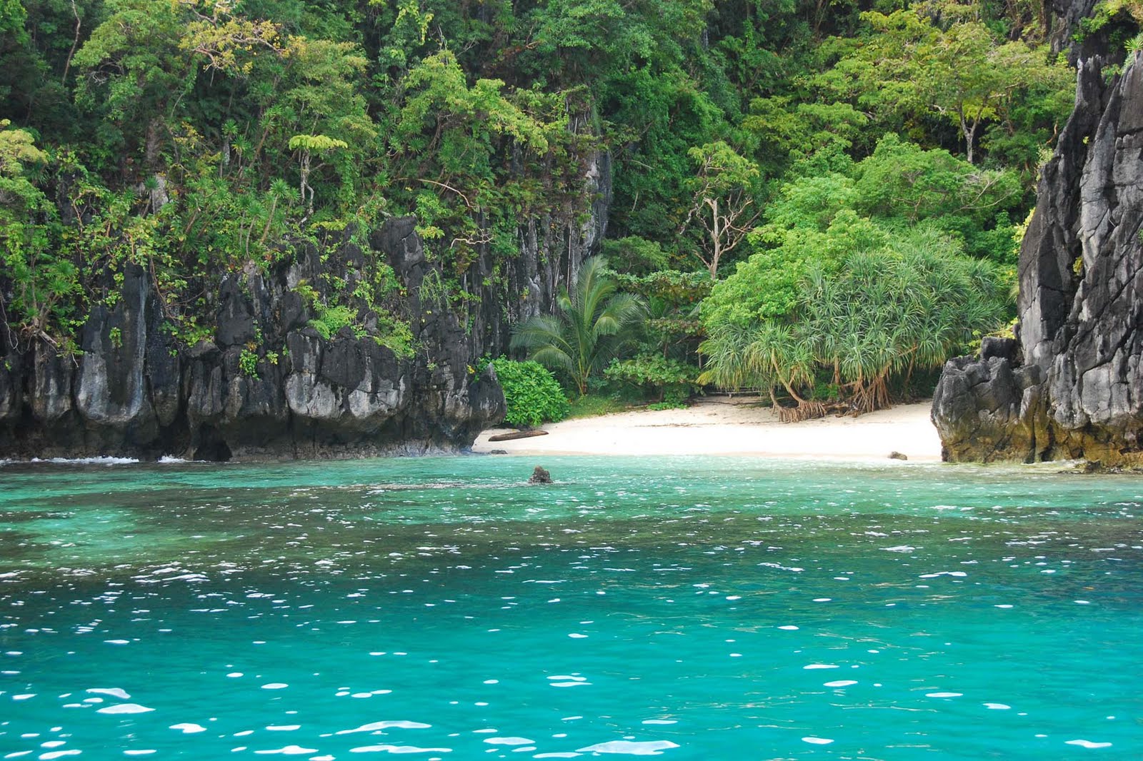 Palawan Philippines | Desktop Wallpapers