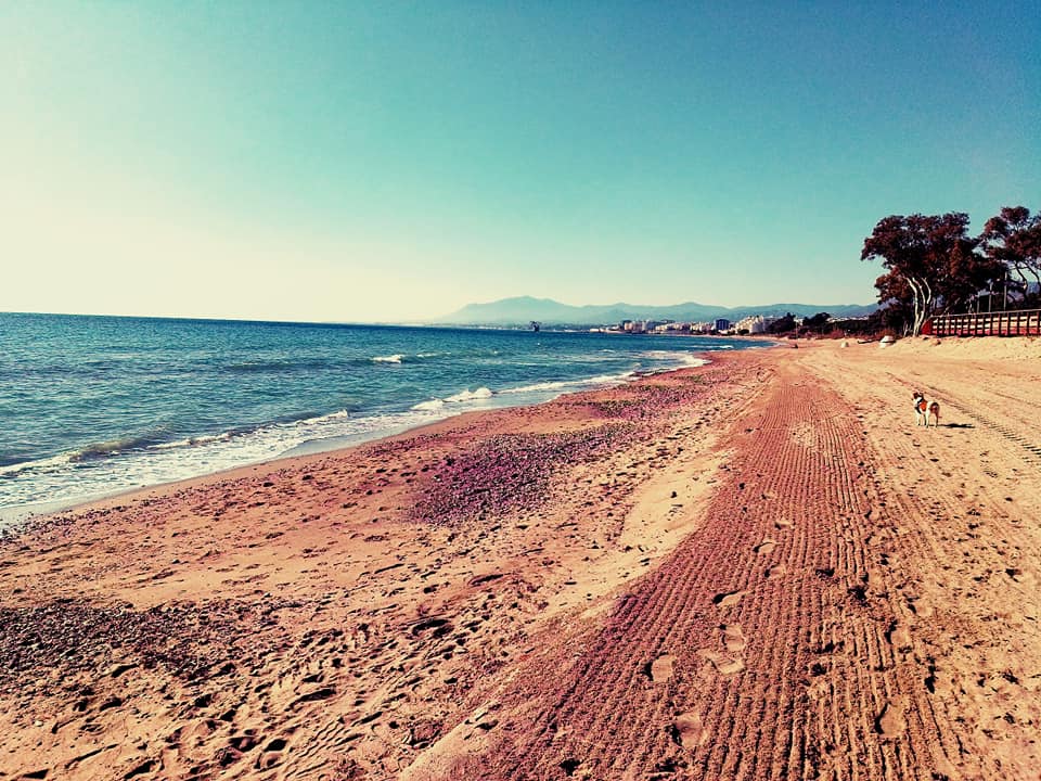 Una chica del montón : Paseos por la playa