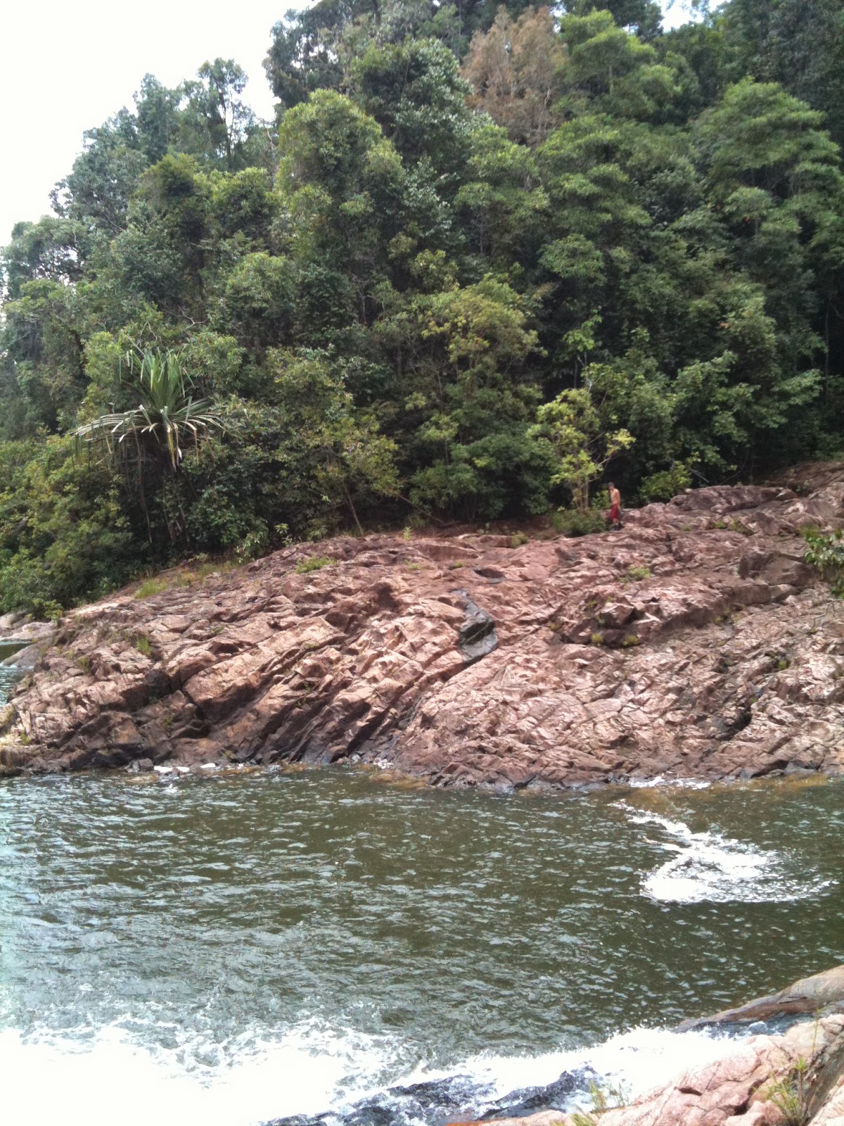 Wandering at Endau Rompin National Park – The Wandering Wasp
