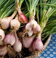 The Art of Cooking with Freeze Dried Shallots© : Home Farm Herbery