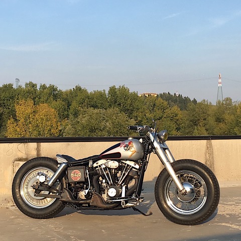 GalluzHead...... Be a Man ride a Pan : H-D Shovelhead FLH Bobber for sale
