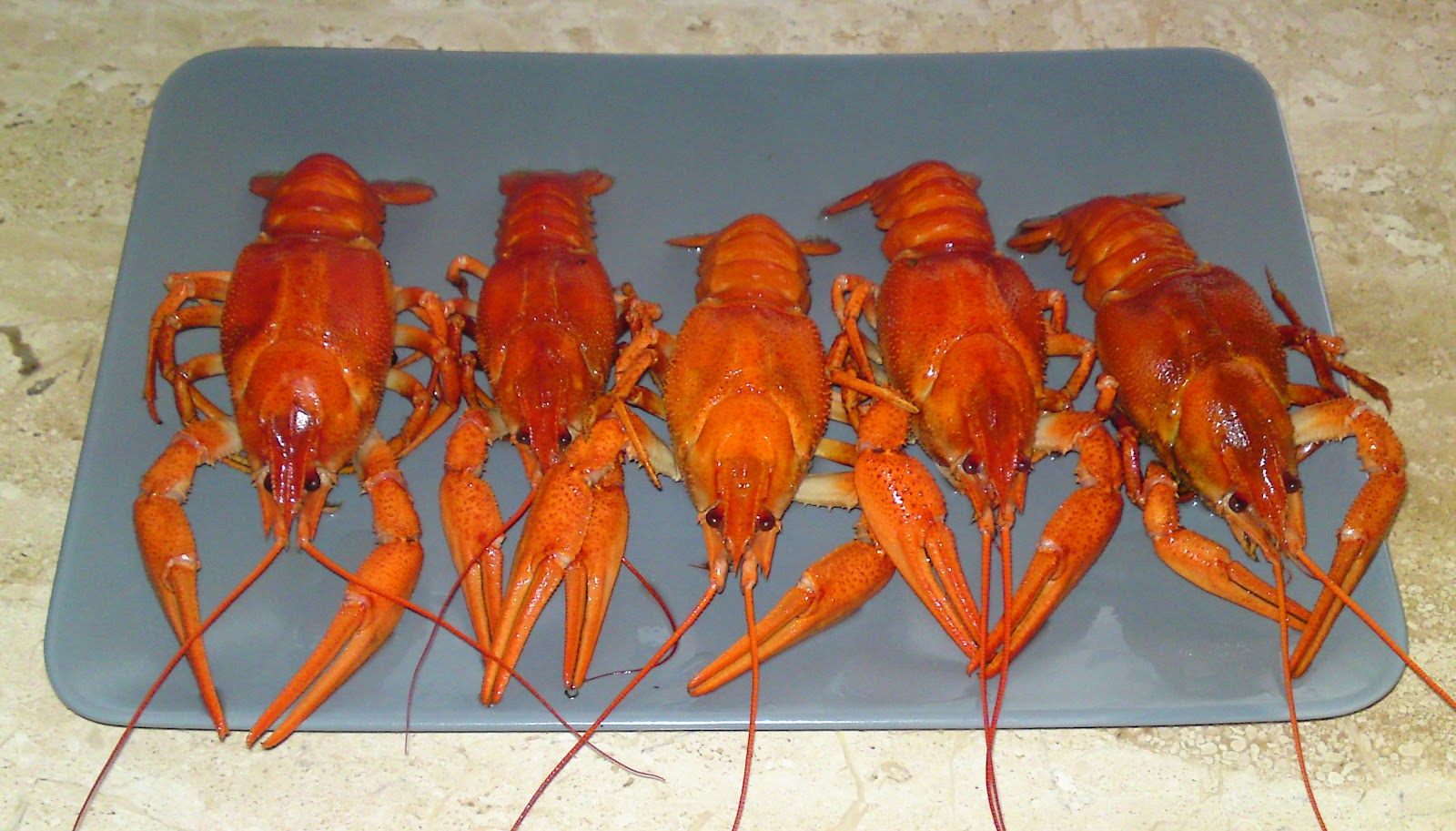 Aici, doar gustul conteaza.....: SALATA DE RACI (CU CIUPERCI)