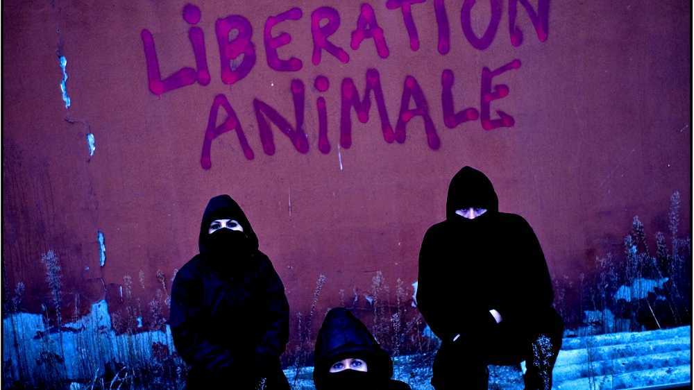 Timeline of Earth Liberation Front actions