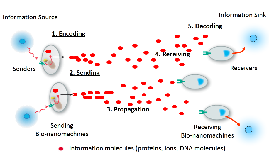 MOLECULAR COMMUNICATIONS..EVOLUTION IS NEAR..!! ~ Lets slash some info ...