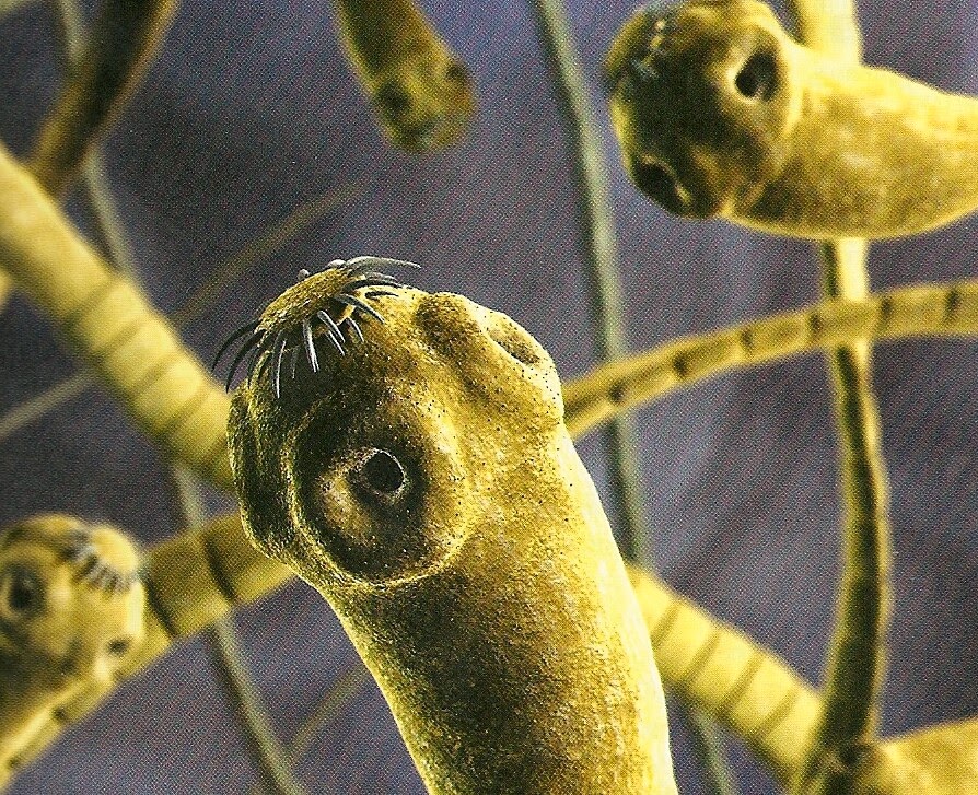 Top 10 Extraordinary Medical Treatments | Most Beautiful