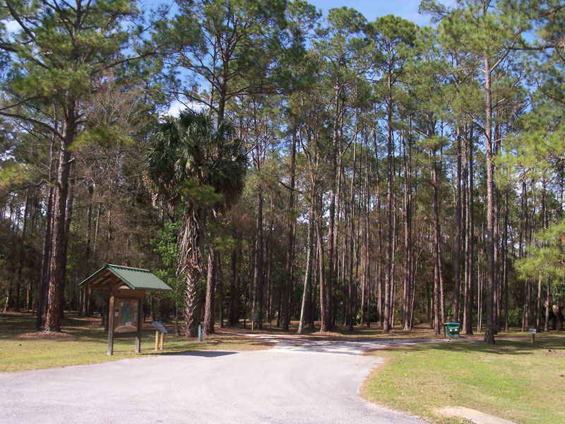 OFFWEGO!: A Week at Florida's Rodman Reservoir Campground
