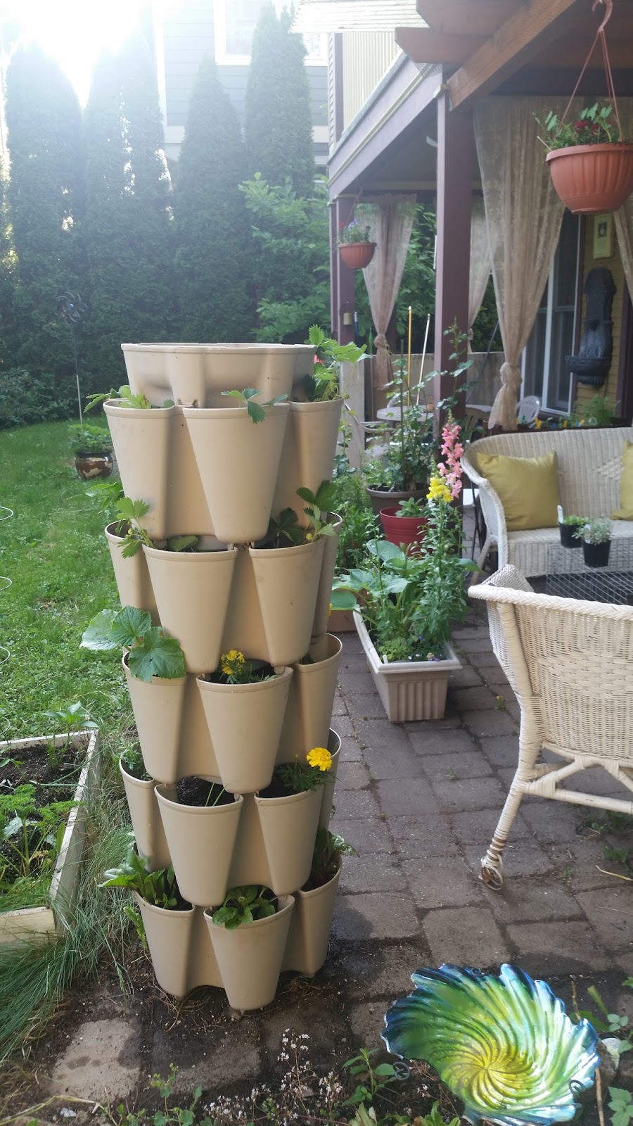 Sprouts: Review of the Green Stalk Gardening System