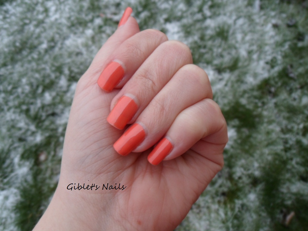 Giblet's Nails: OPI Nice Hands... Great Nails