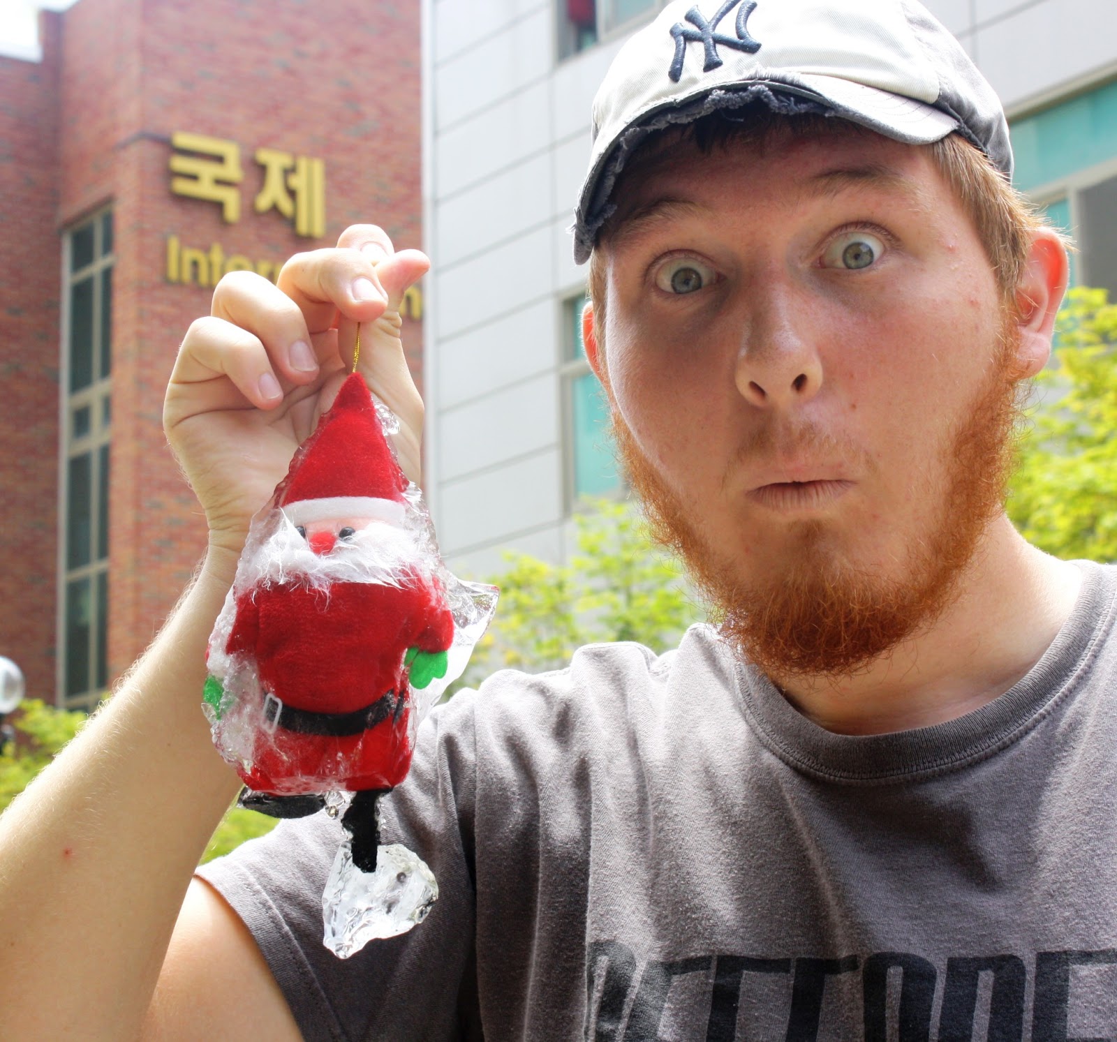 New Life: Korea Lantinga Family: "What to do with ornaments when Xmas ...