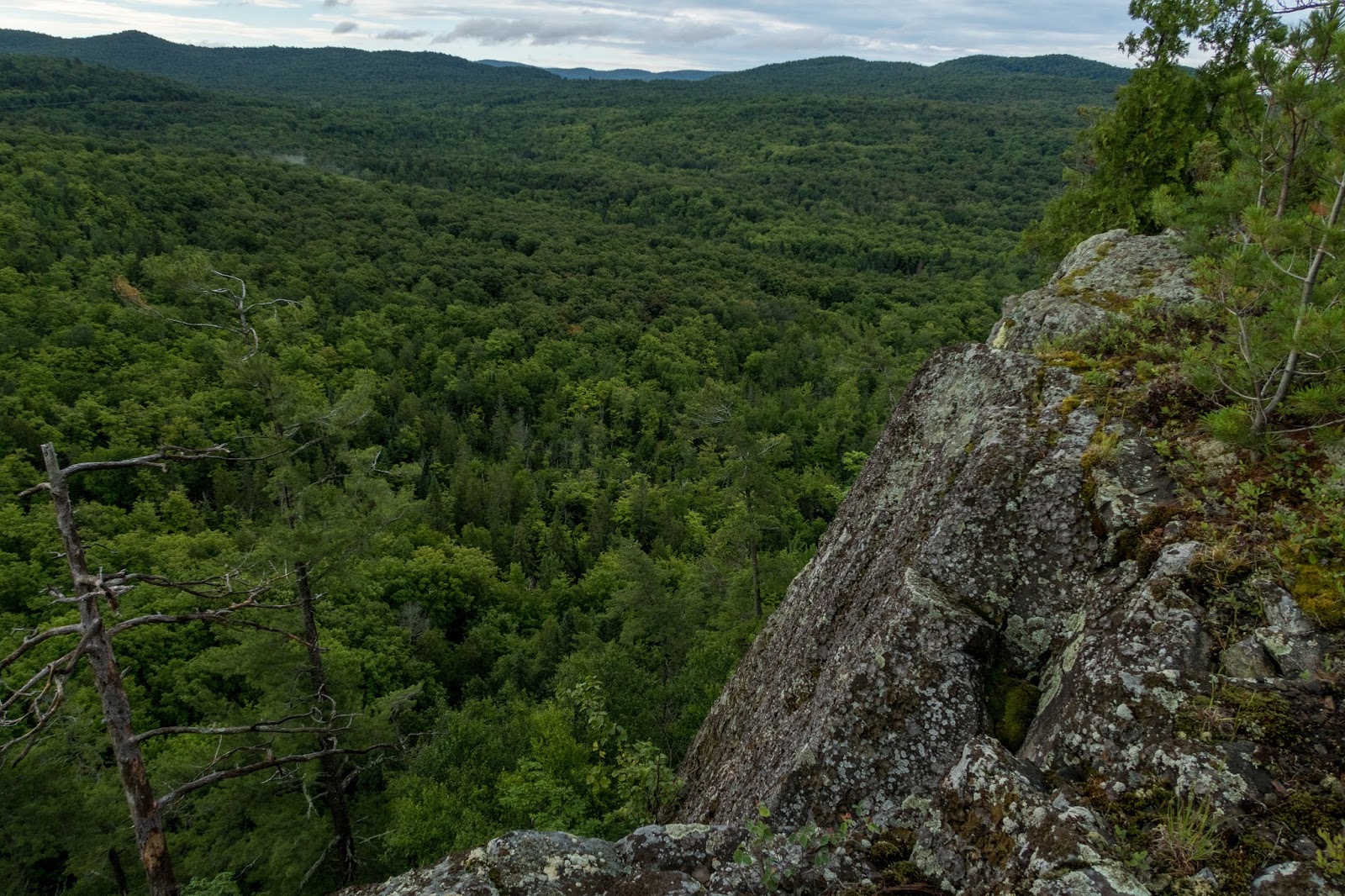 Eric's Hikes: Voyageur Trail: Harmony and Stokely Trails