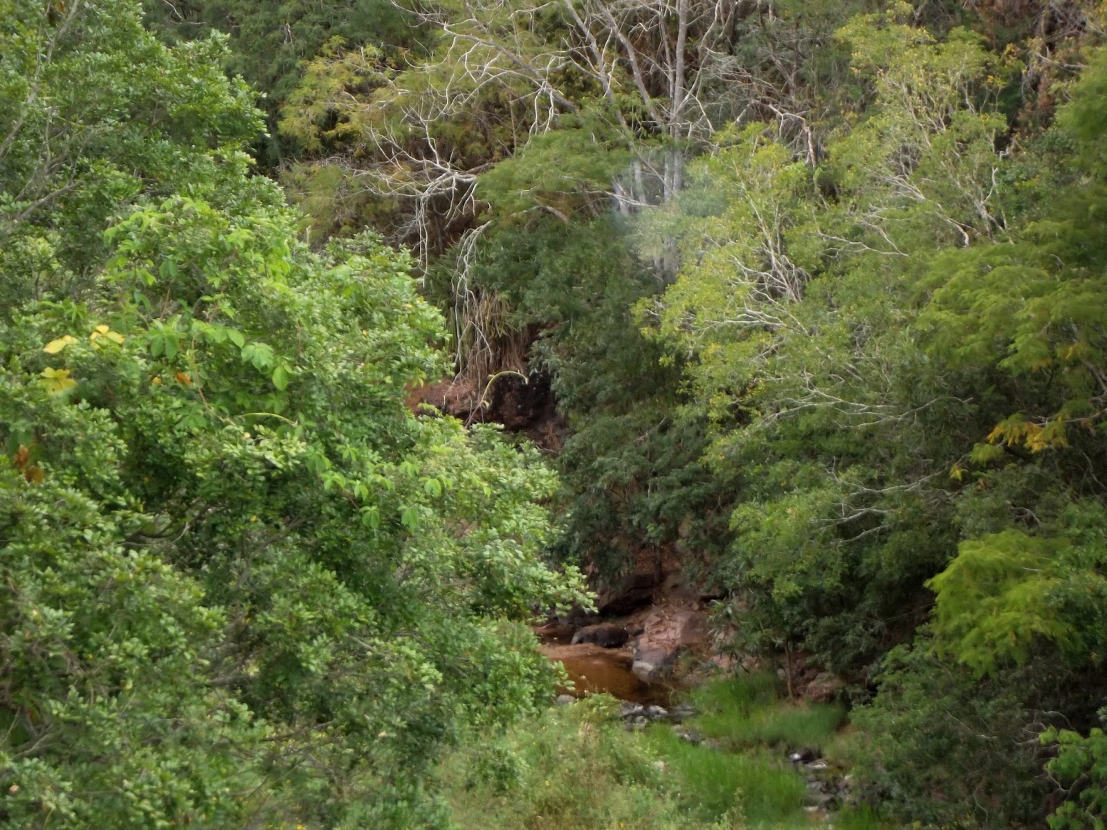 Clerisvaldo B. Chagas: OS SEGREDOS DE SANTANA DO IPANEMA