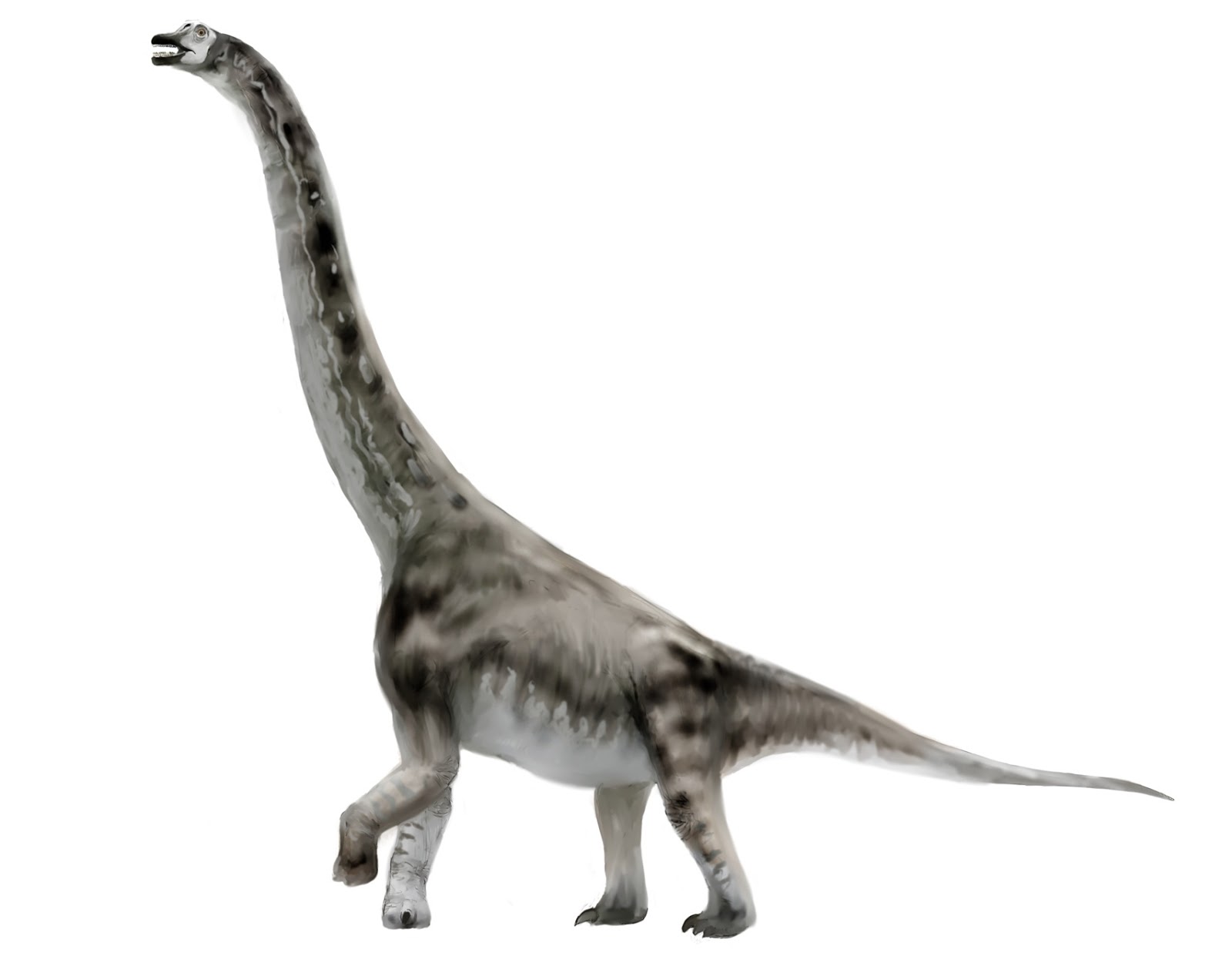 EL LIBRO DE LOS DINOSAURIOS: Abydosaurus