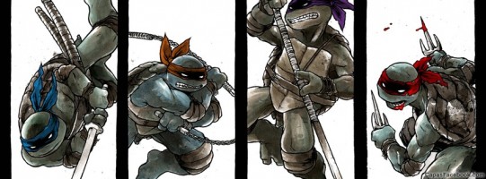 Facebook Covers Ninja Turtle | Facebook Covers | Timeline, cover, Photo