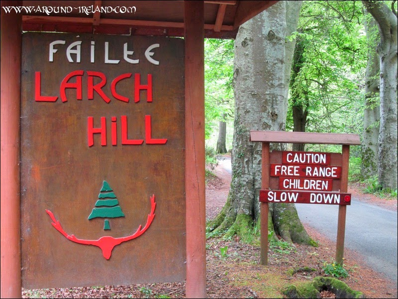 Dookoła Irlandii z Pendragonem: Larch Hill czyli jak zostałem skautem