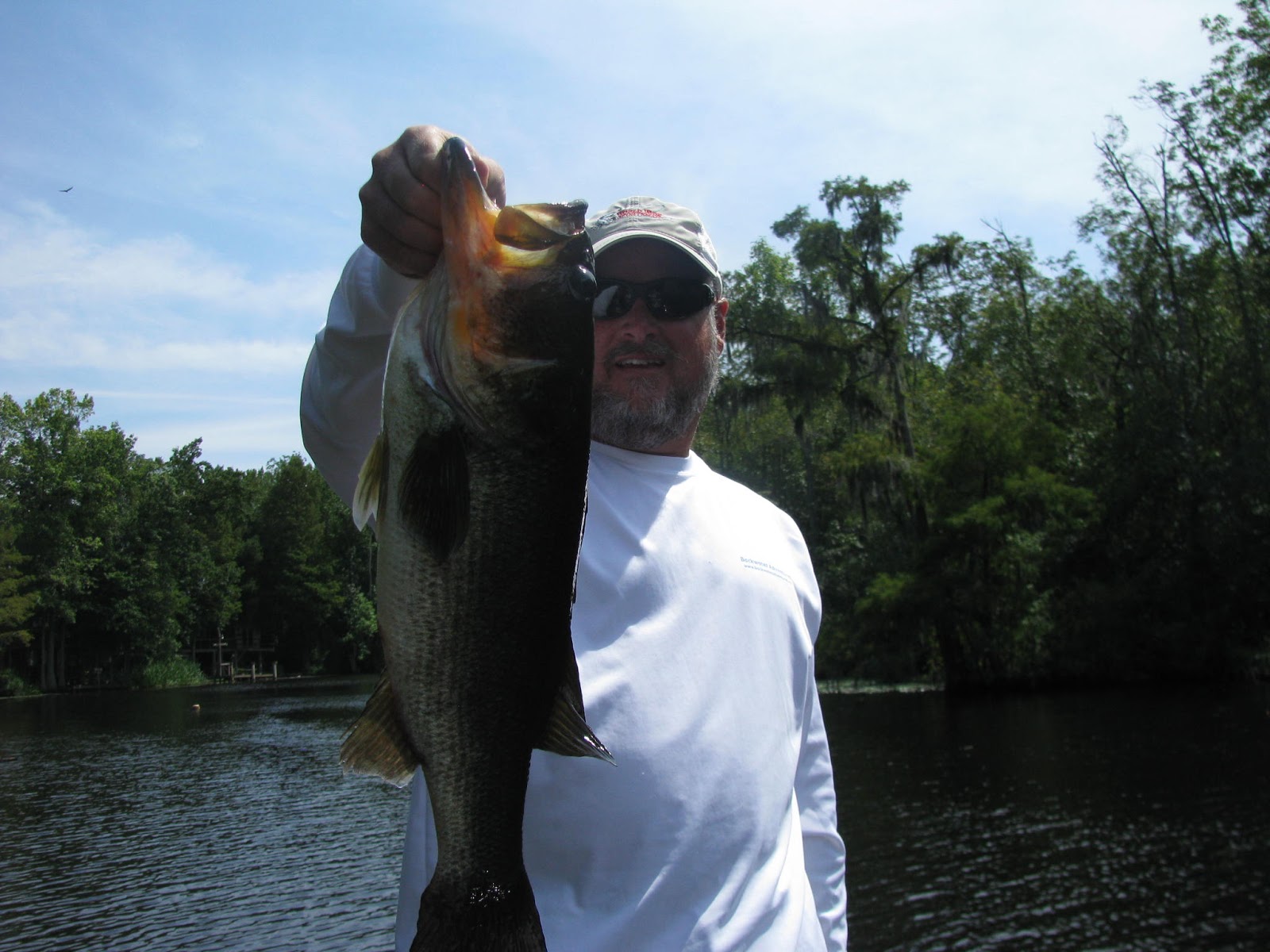 Backwateradventures: Outer Banks Bass Fishing