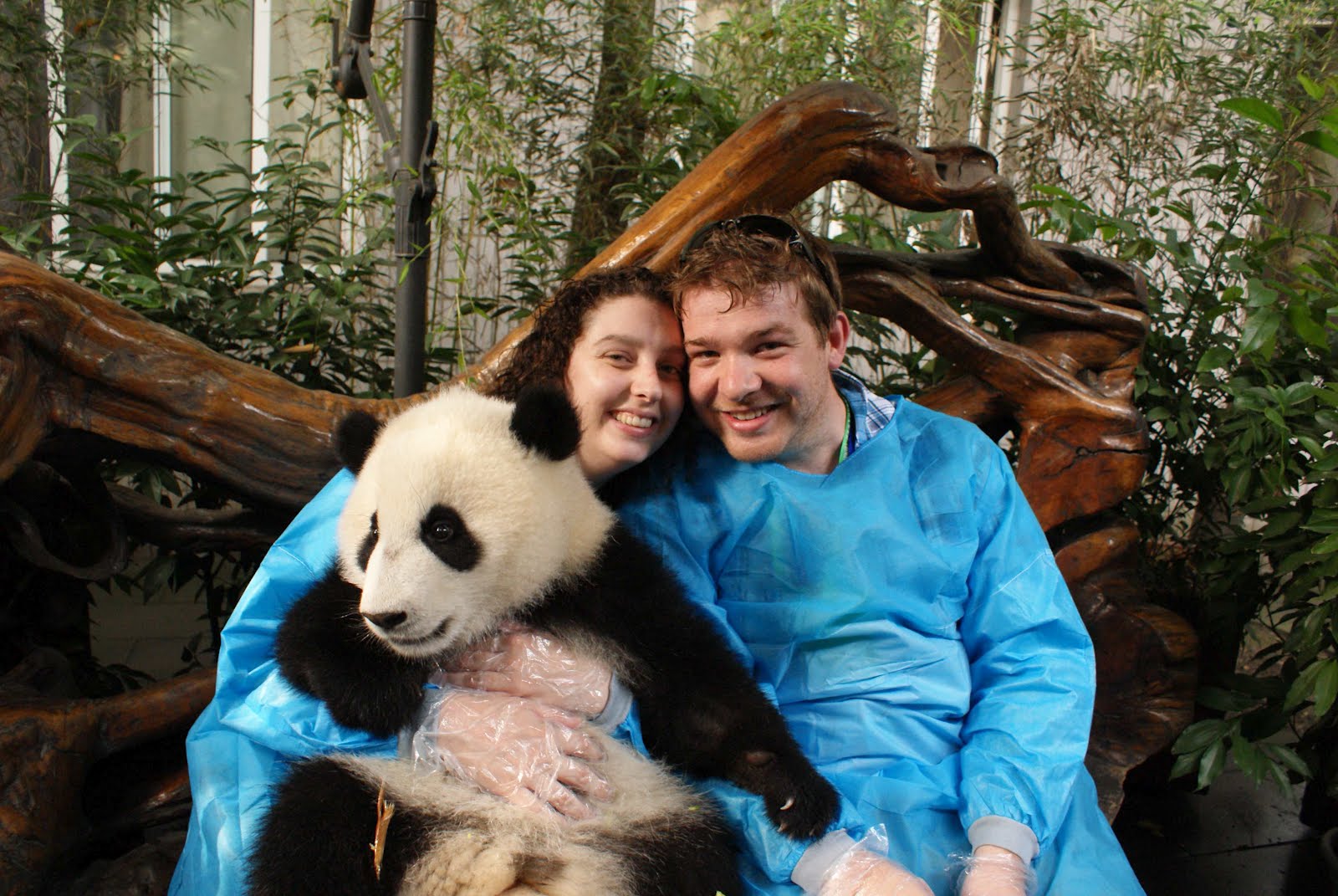 Michelle and Gareth's travel blog: Cuddling a Giant Panda