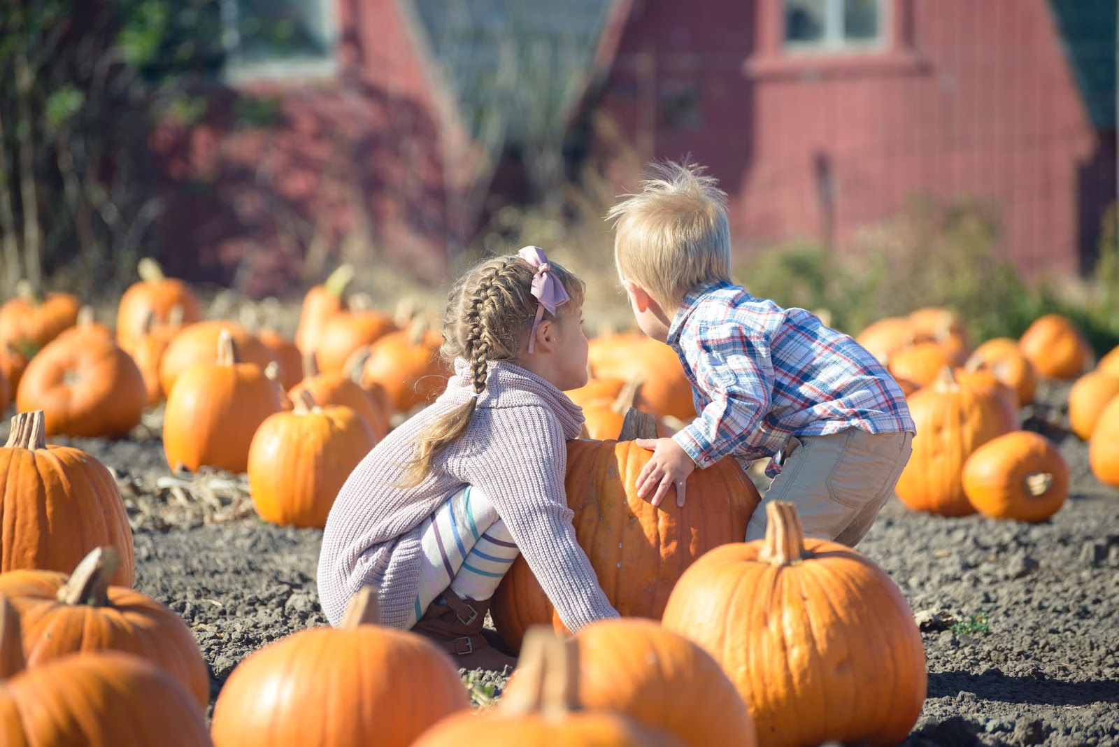 DIY Party Mom: Halloween Pumpkin Patch Family Night Activity