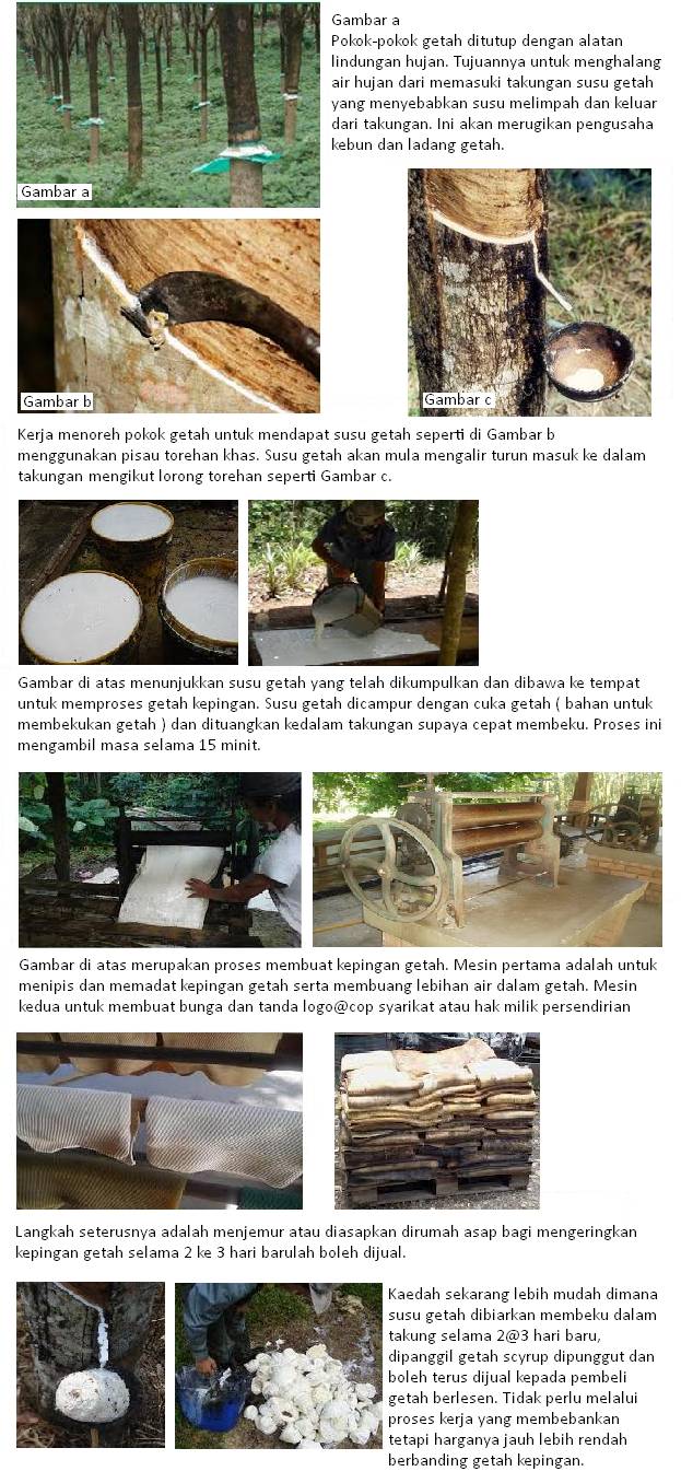 Pagar Museh: BAHAGIAN 4 - INDUSTRI GETAH DI MALAYSIA