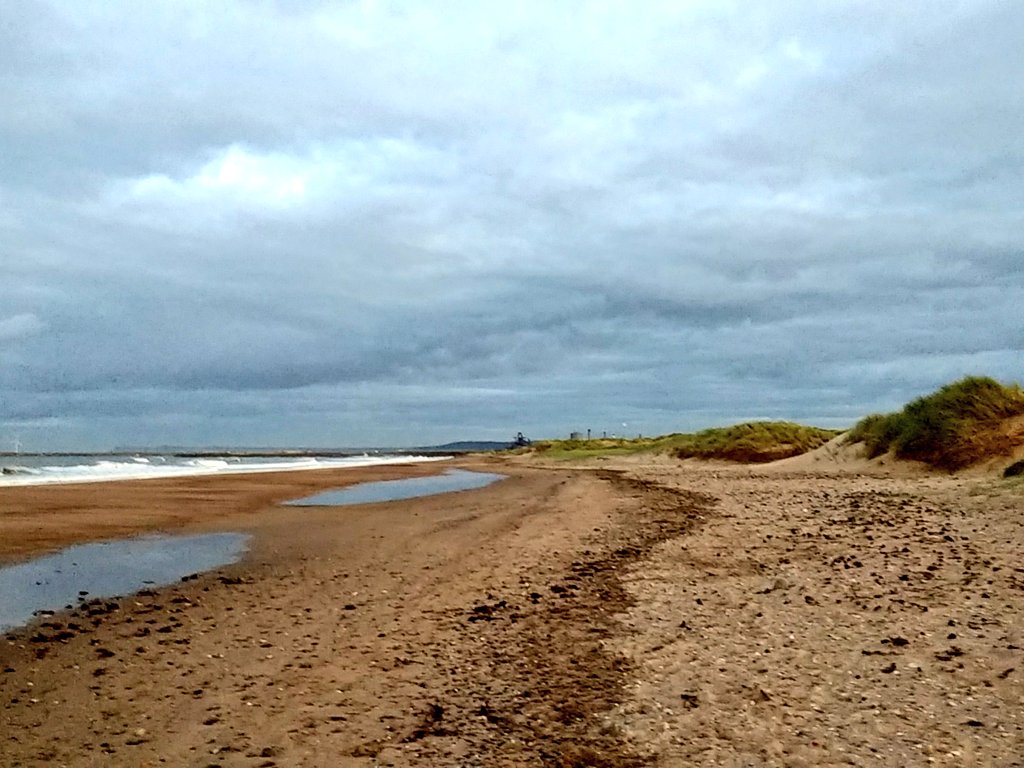 Life's A Beach. The Driftwood Lectures... : 05 OCTOBER 2017. SEATON ...
