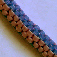 Bonnie's Books: "The Lanyard" by Billy Collins ~ teaser