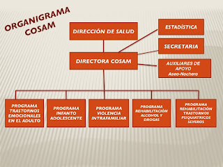 COSAM Quinta Normal: ¿Qué es Cosam?