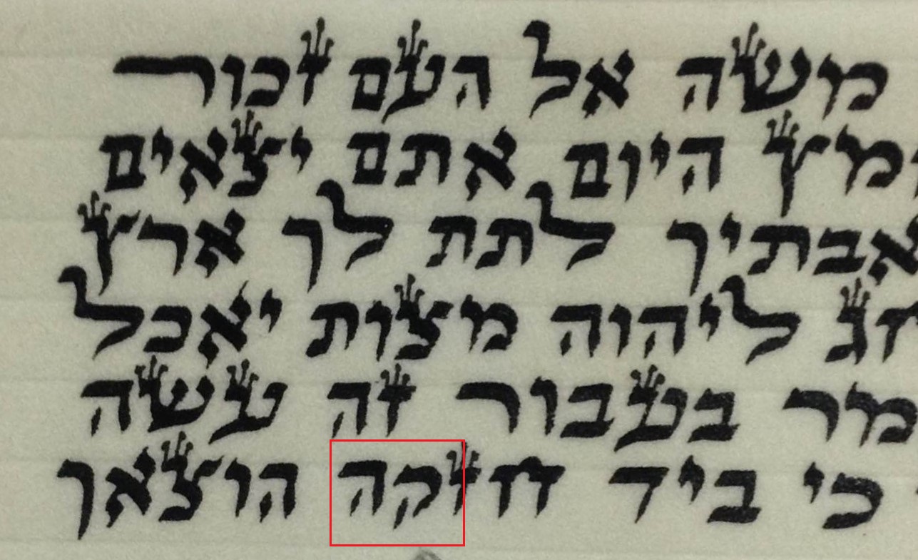 פורום לנושאי סת"ם: רגל של קו"ף קצר