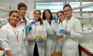 orientacióninfante: 2016