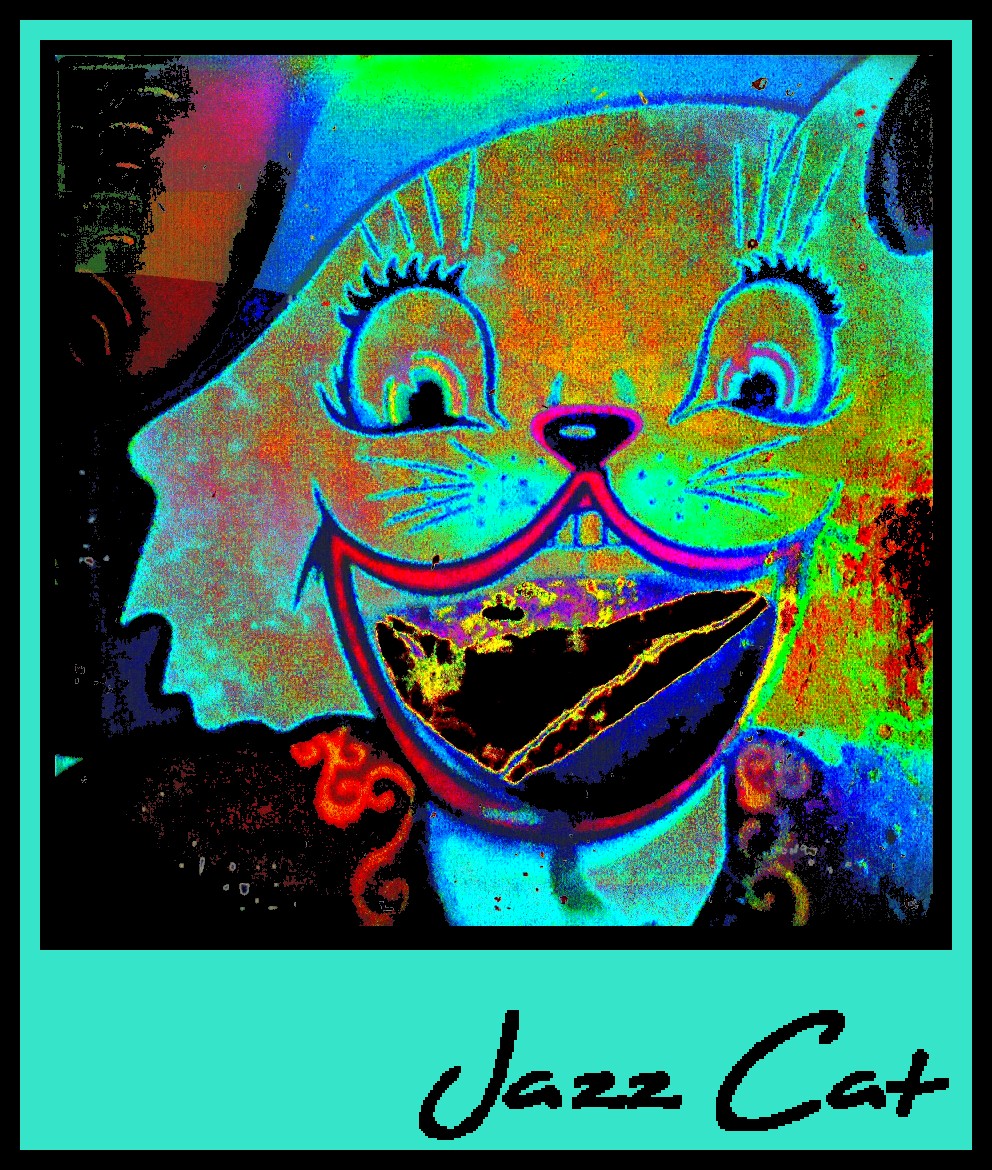 MarianneDowFoto Blog - Art Photography by Marianne Dow: Jazz Cat ...