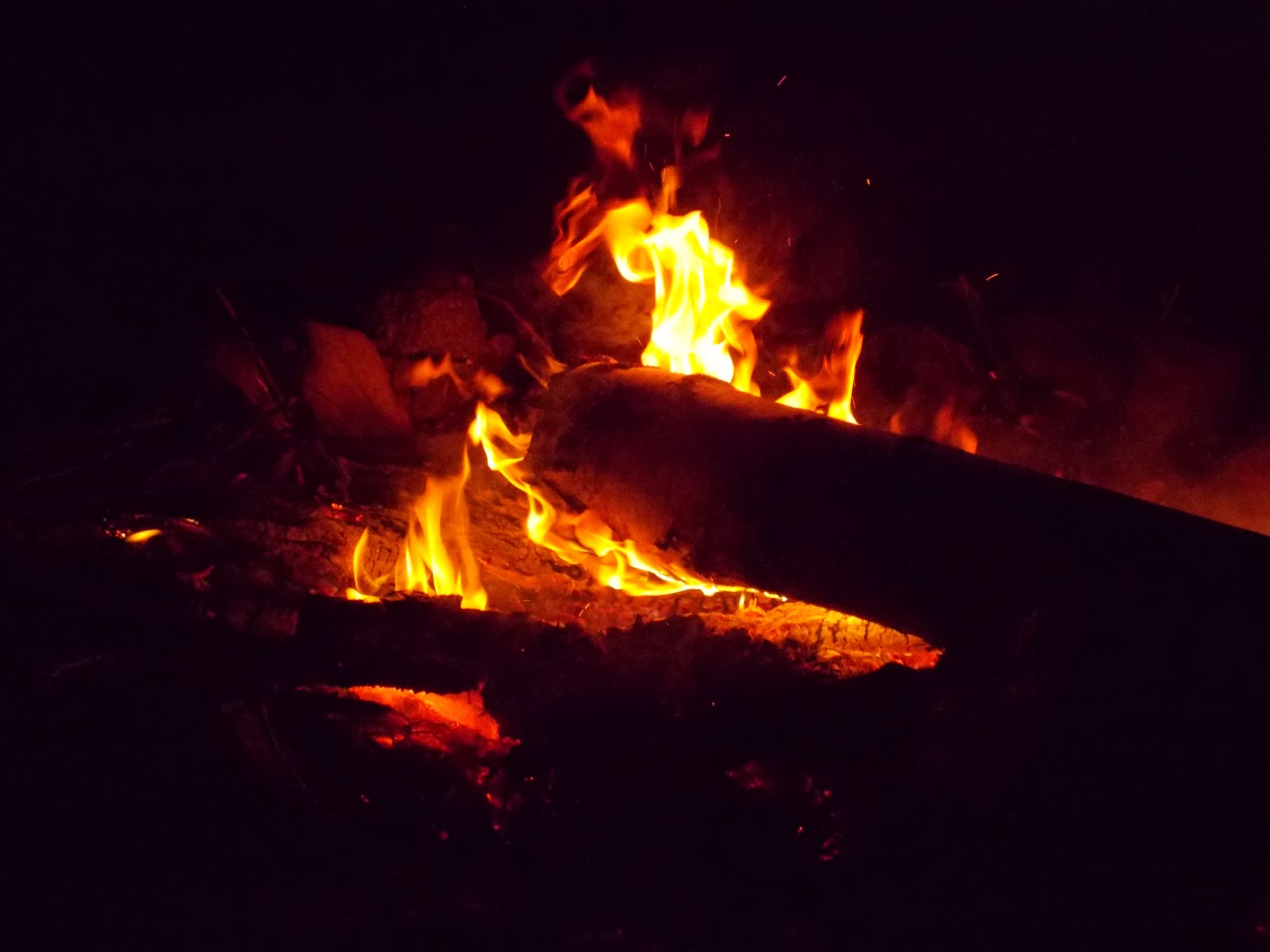 Cavalcade: 2013 - Winter | Art