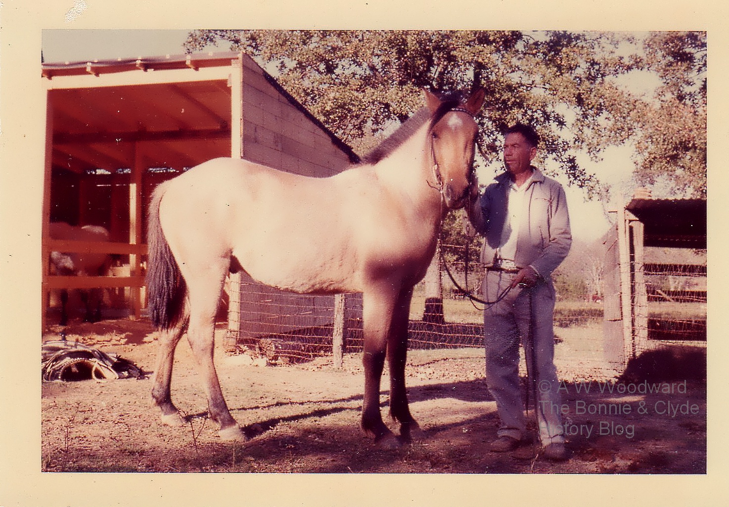 Bonnie and Clyde History: For Blanche Barrow-- Animals Held A Special ...