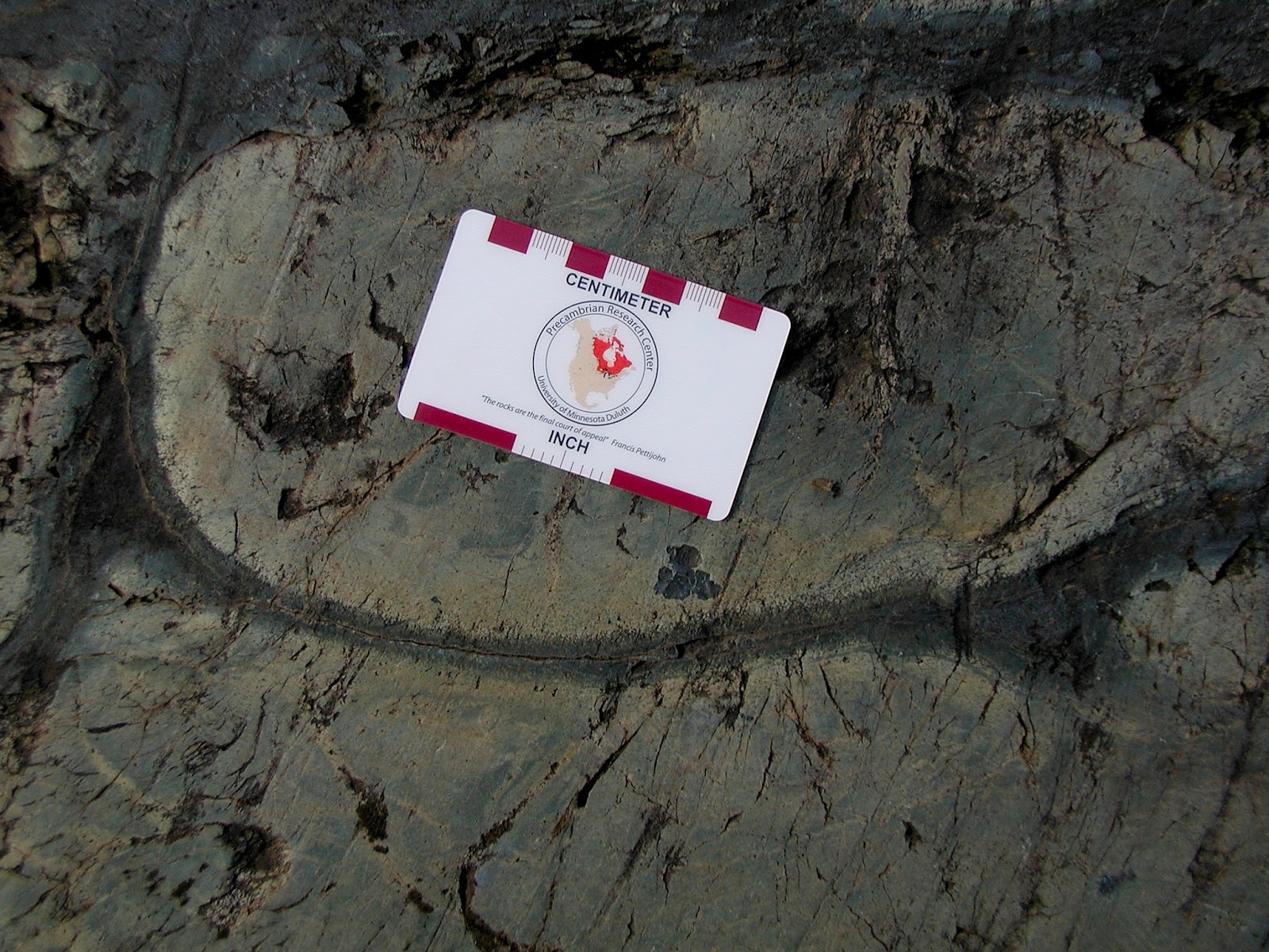 earthscienceguy: Minnesota Geology Monday - Pillowed Greenstone