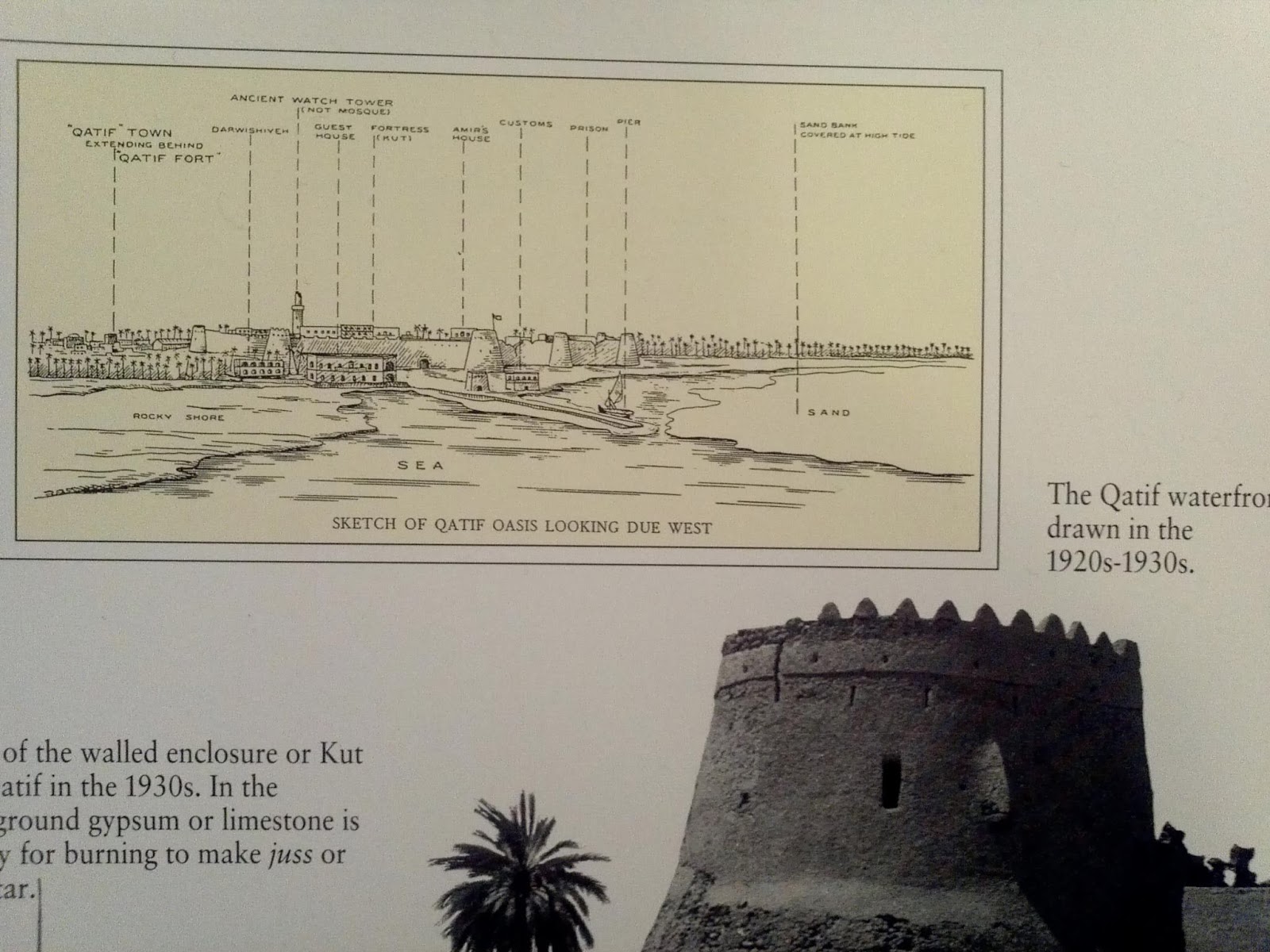 Arabian Anthropology: A Nostalgic Journey to Qatif's Old City