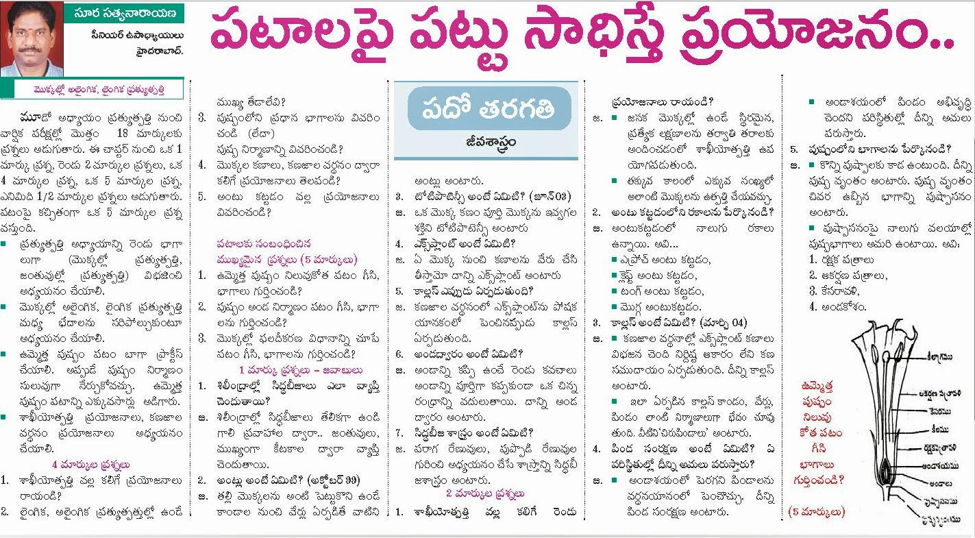 Round Table High School: 10TH CLASS VIDYA