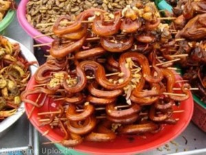 Manfaat Daging Ular - Perumperindo.co.id