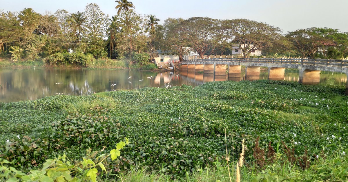 Emphasis on the Nature