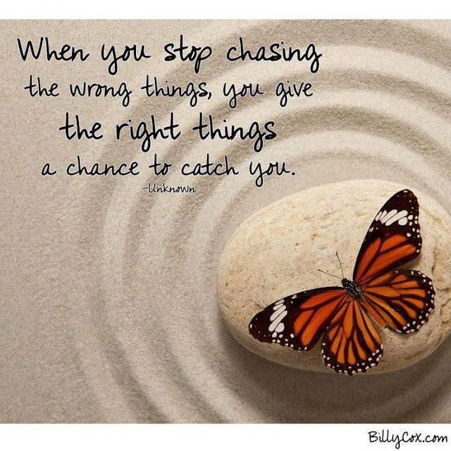 Give The Right Things Chance To Catch You | Productivity Tips, MS Excel ...