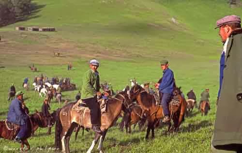 Retired--Now What?: Horse Year Photo Addendum