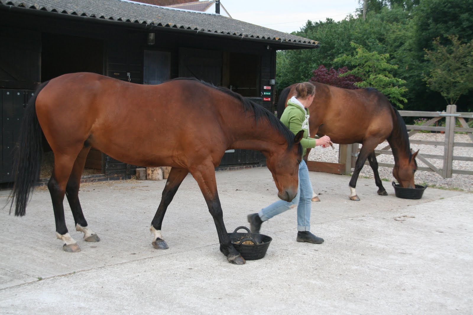 TRAKEHNERS CAN JUMP: TRAKEHNERS CAN JUMP part 4