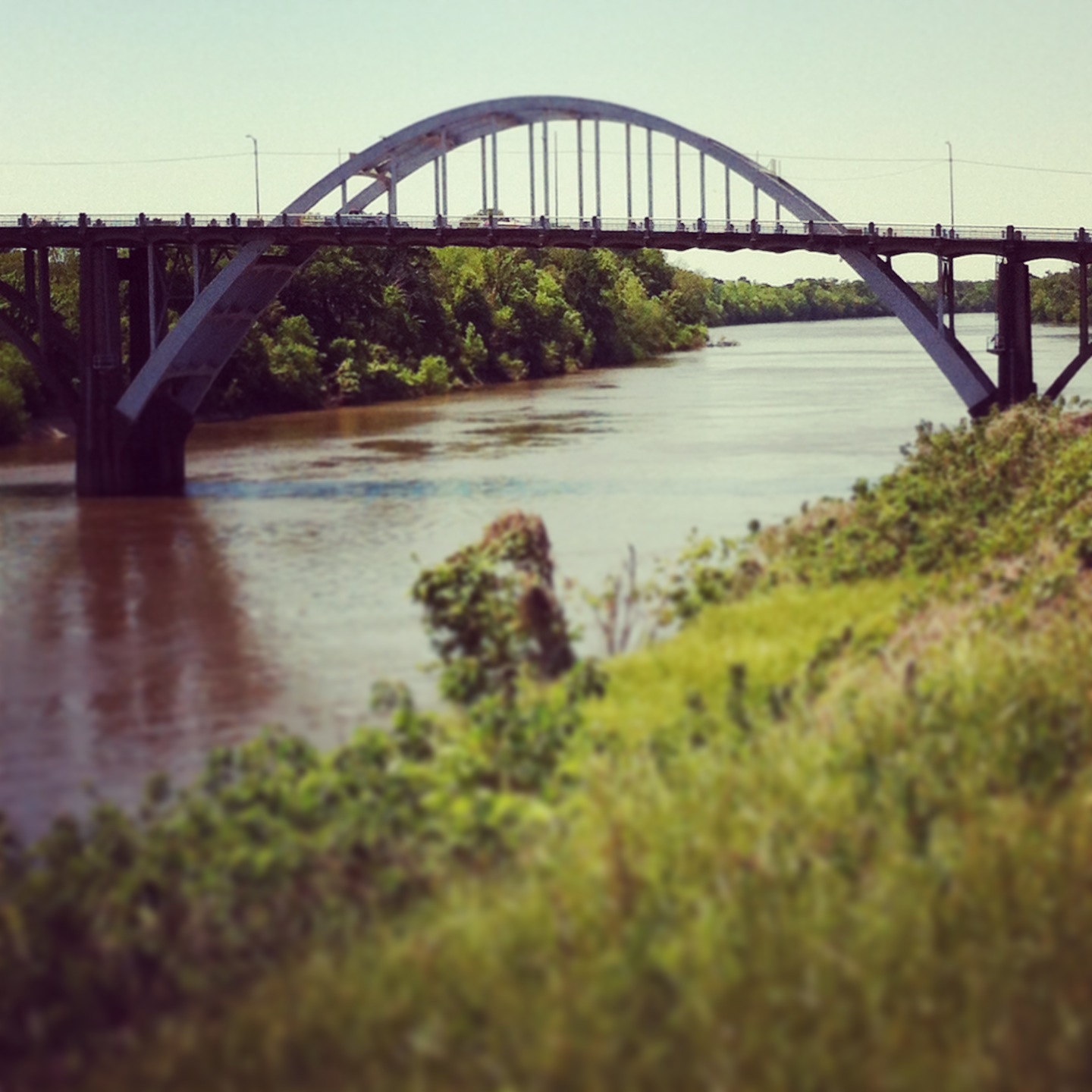 What happened when I crossed the bridge to Selma